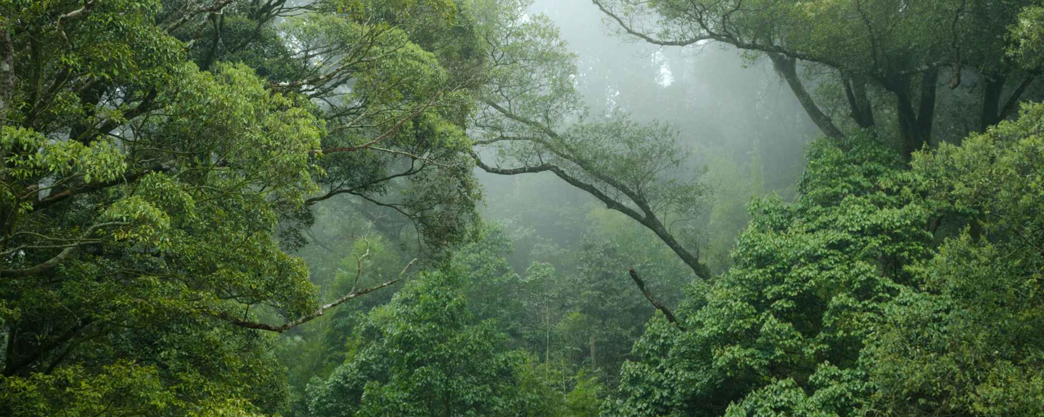 PBAF) legt Standard für Impact-Analyse vor